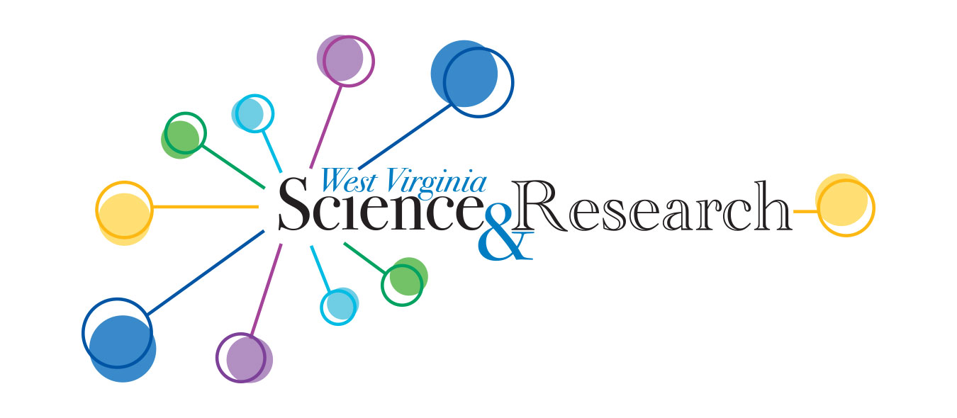 Juliana Serafin, Ph.D., named new Director of Science and Research at ...